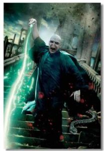 Lord Voldemort Costume | Halloween Costume Guide