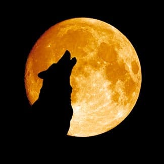How To Dress Like Dress Like The Wolf Guide For Cosplay & Halloween