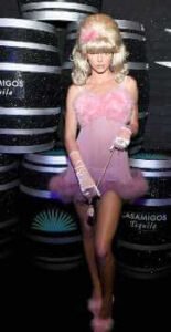 Ultimate Fembot Costume Guide - Retro Glamour And Style Tips