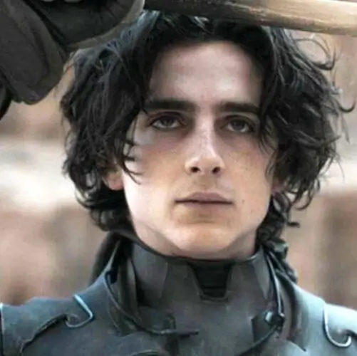 Master The Art Of Paul Atreides Costume Dune Cosplay Guide